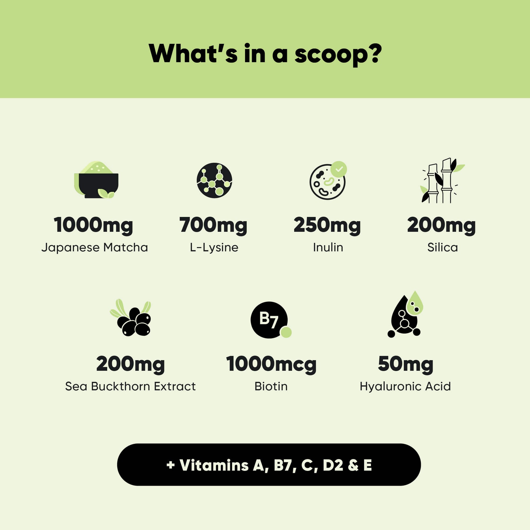 Buy Premium Japanese Matcha Green Tea Online | Tencha India