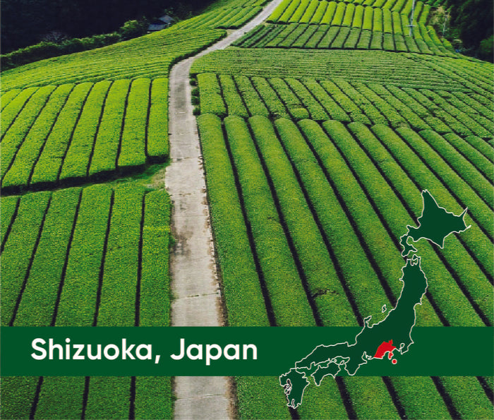 Buy Premium Japanese Matcha Green Tea Online | Tencha India